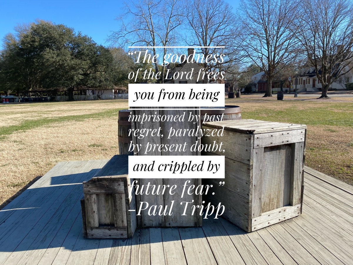 The Goodness of the Lord – psalm37fretnot